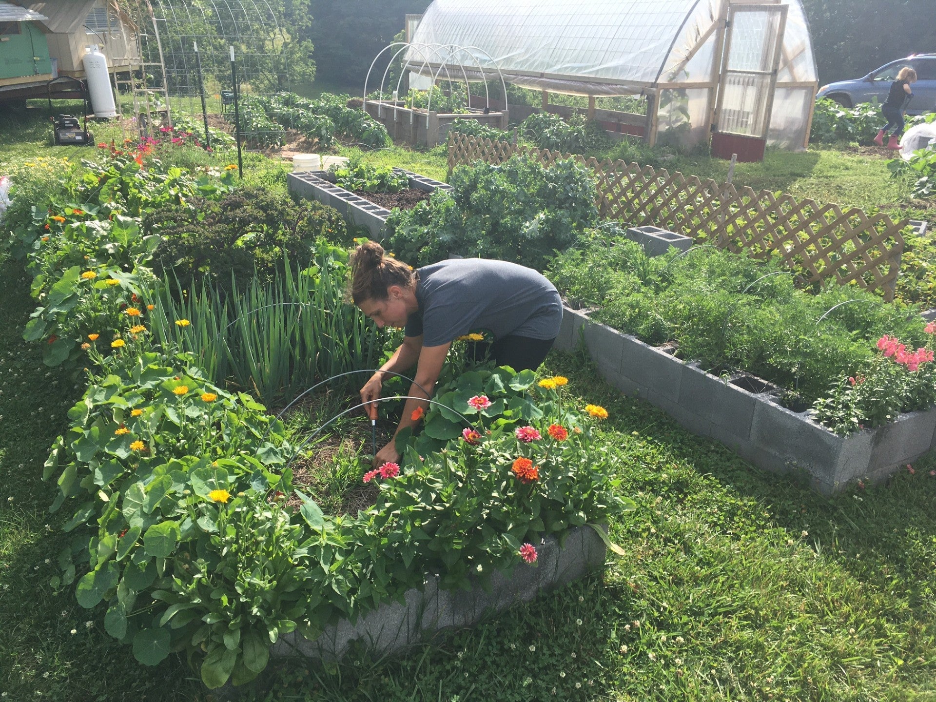 Produce – Stone Pillar Farm