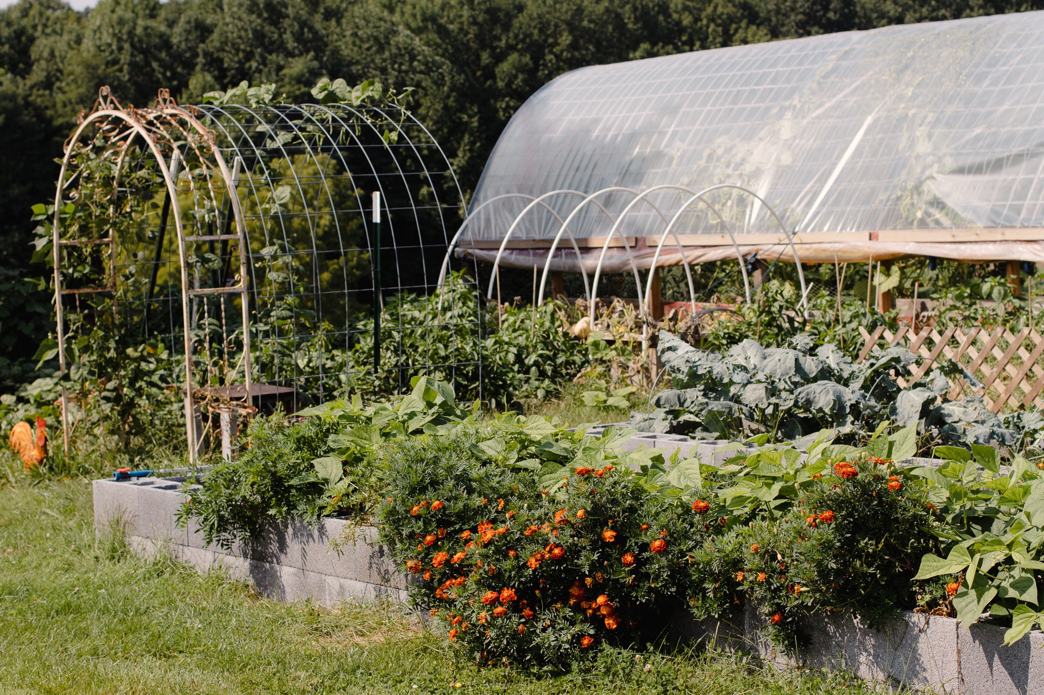 About Us – Stone Pillar Farm